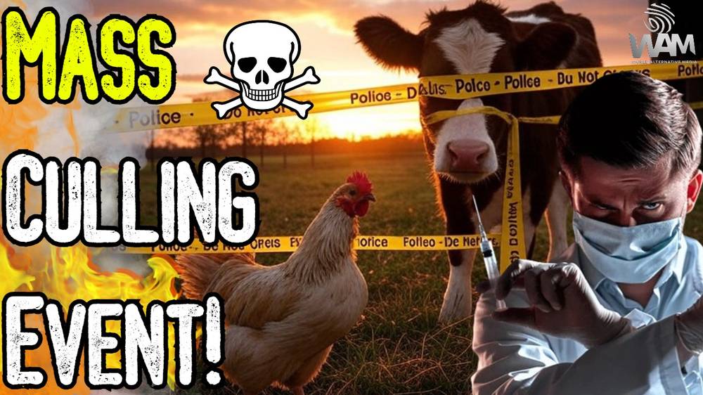 MASS CULLING EVENT! - Bird Flu Hoax Leads To Culling Of Millions Of ...