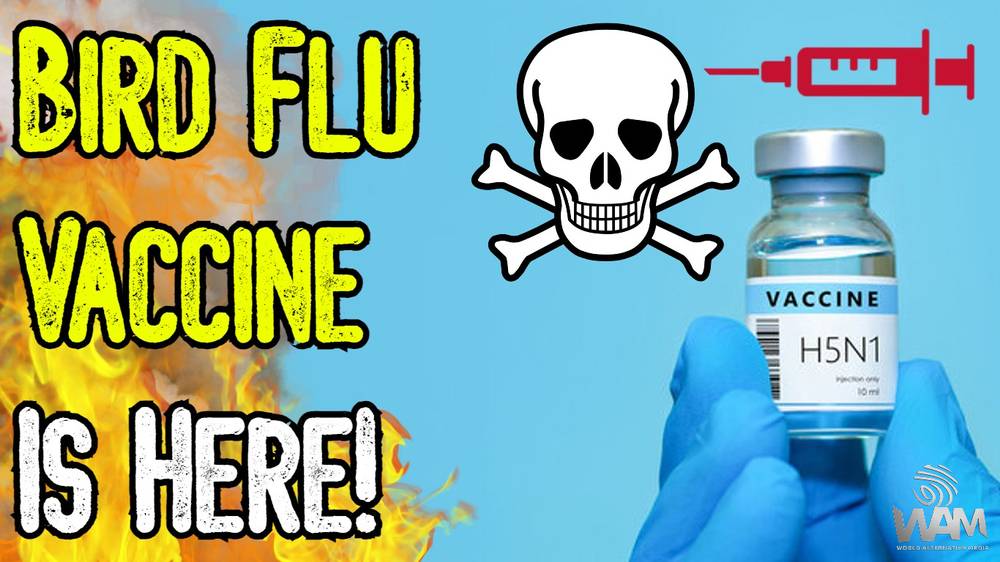 WARNING! BIRD FLU VACCINE IS HERE! - Deadly mRNA Injections & Poison ...
